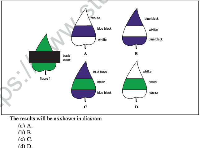 CBSE Class 10 Science MCQs Set 6 with Answers CBSE Class 10 Science MCQs Set 6 with Answers